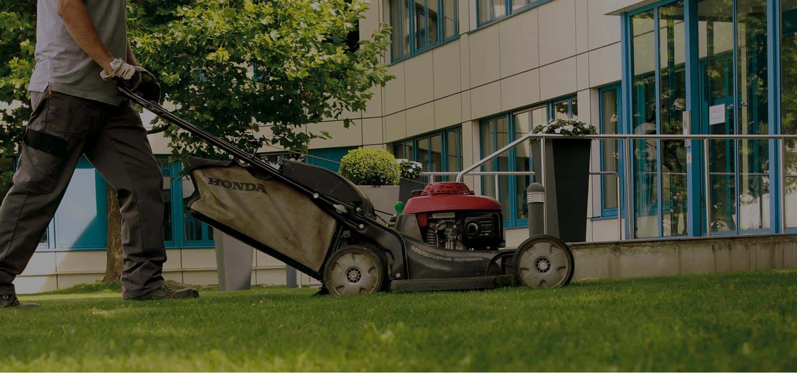 Commercial Landscaping Management Services in Rhode Island